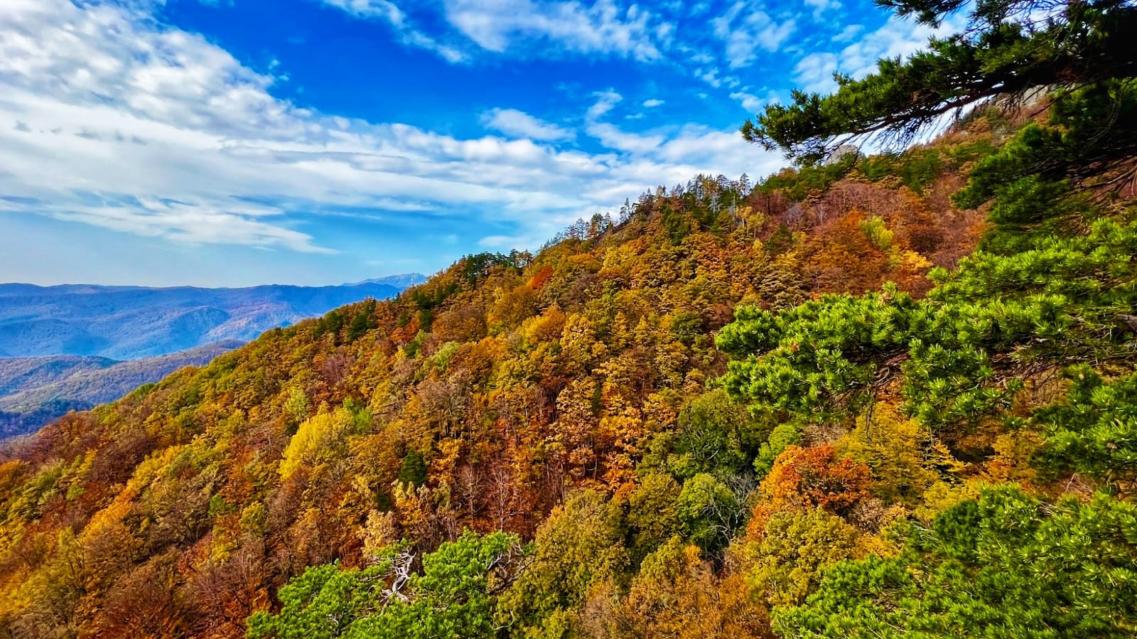 Excursie munte Masivul Cozia|OxigenTour.ro