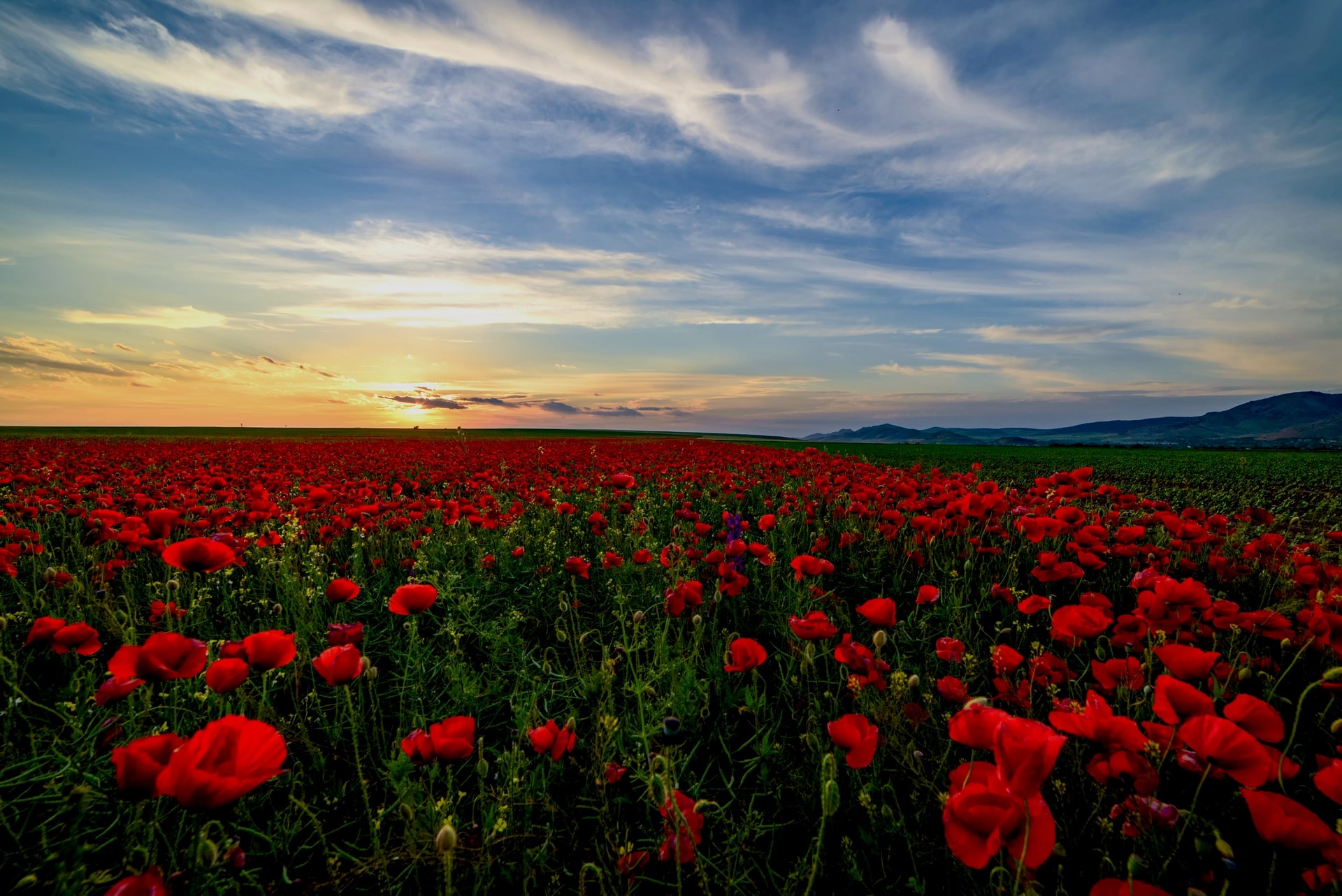 Excursie muntii Macin|OxigenTour.ro