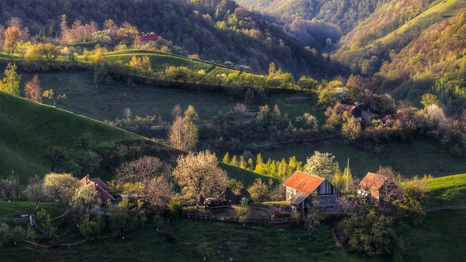 Excursie munte Poiana Marului|OxigenTour.ro