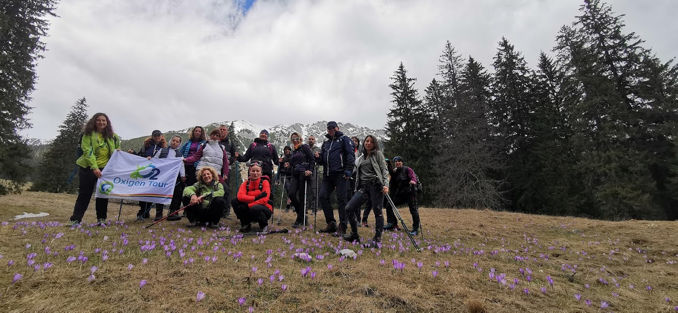 Excursie munte Saua Joaca si Refugiul Grind | OxigenTour.ro