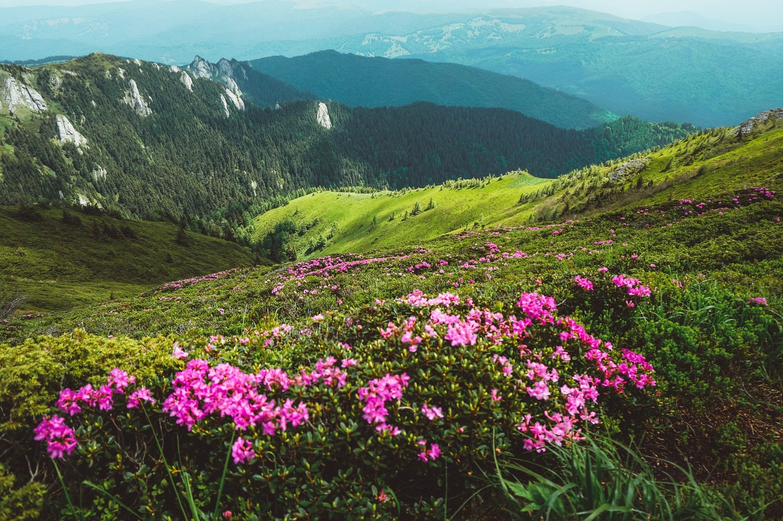 Excursie munte Varful Ciucas|OxigenTour.ro