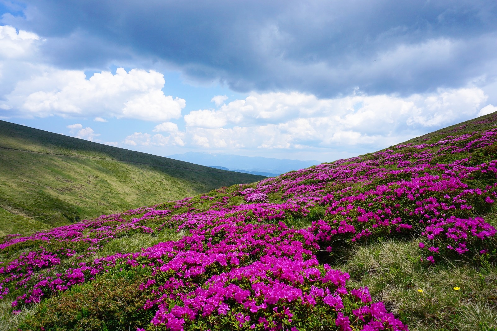 Excursie munte Varful Papusa|OxigenTour.ro